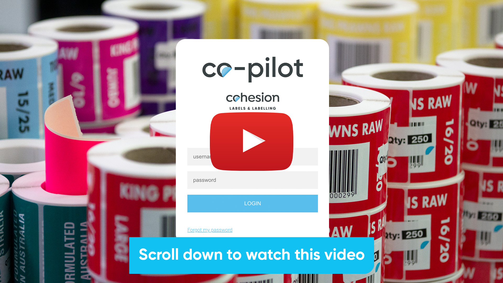 Our Co-Pilot Portal - Cohesion Labels
