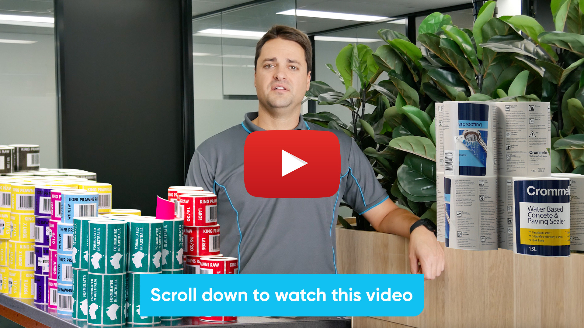 Make Your Labelling Easy With Forward Ordering - Cohesion Labels