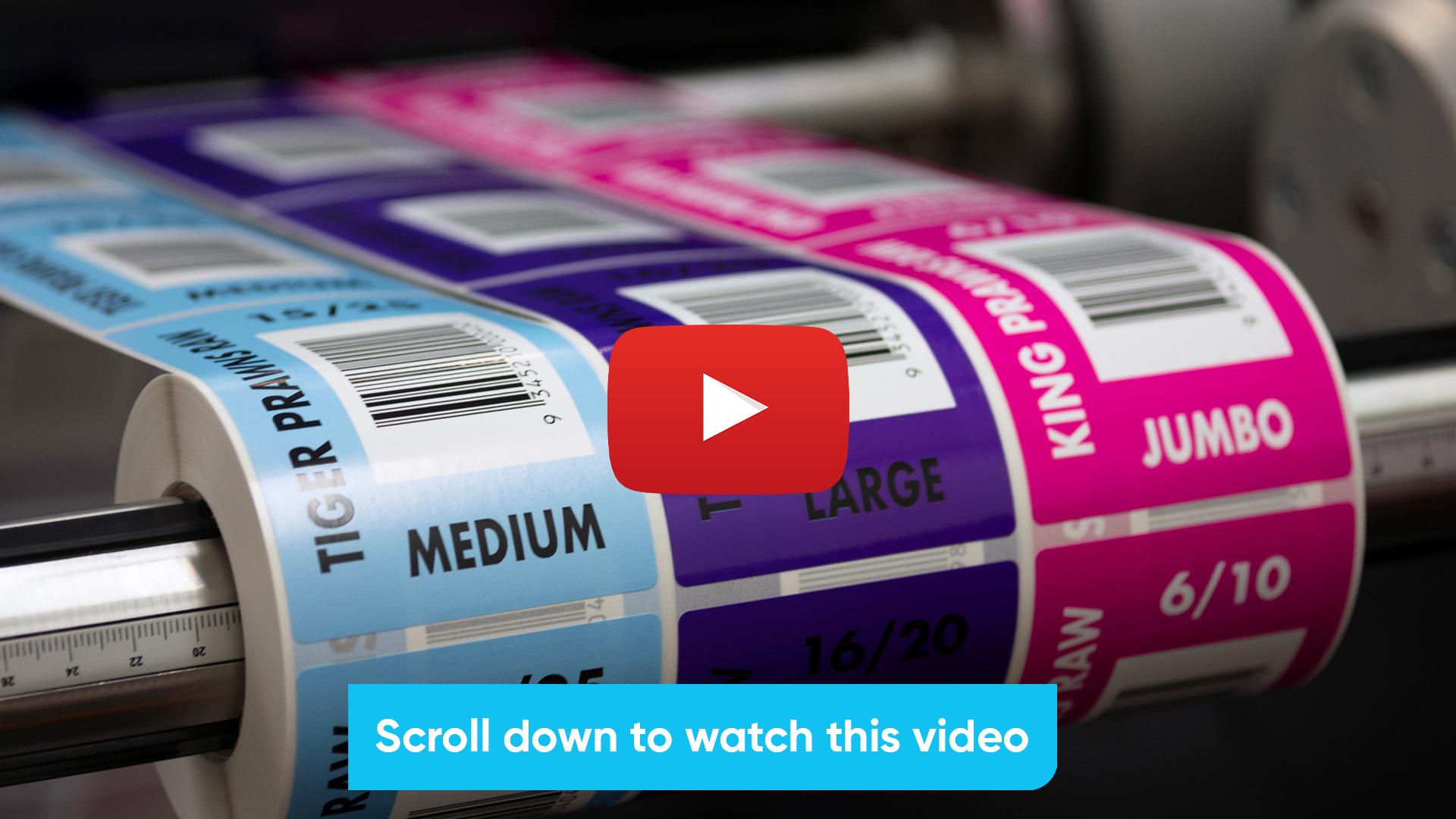 Label Families by Cohesion l Cohesion Labels